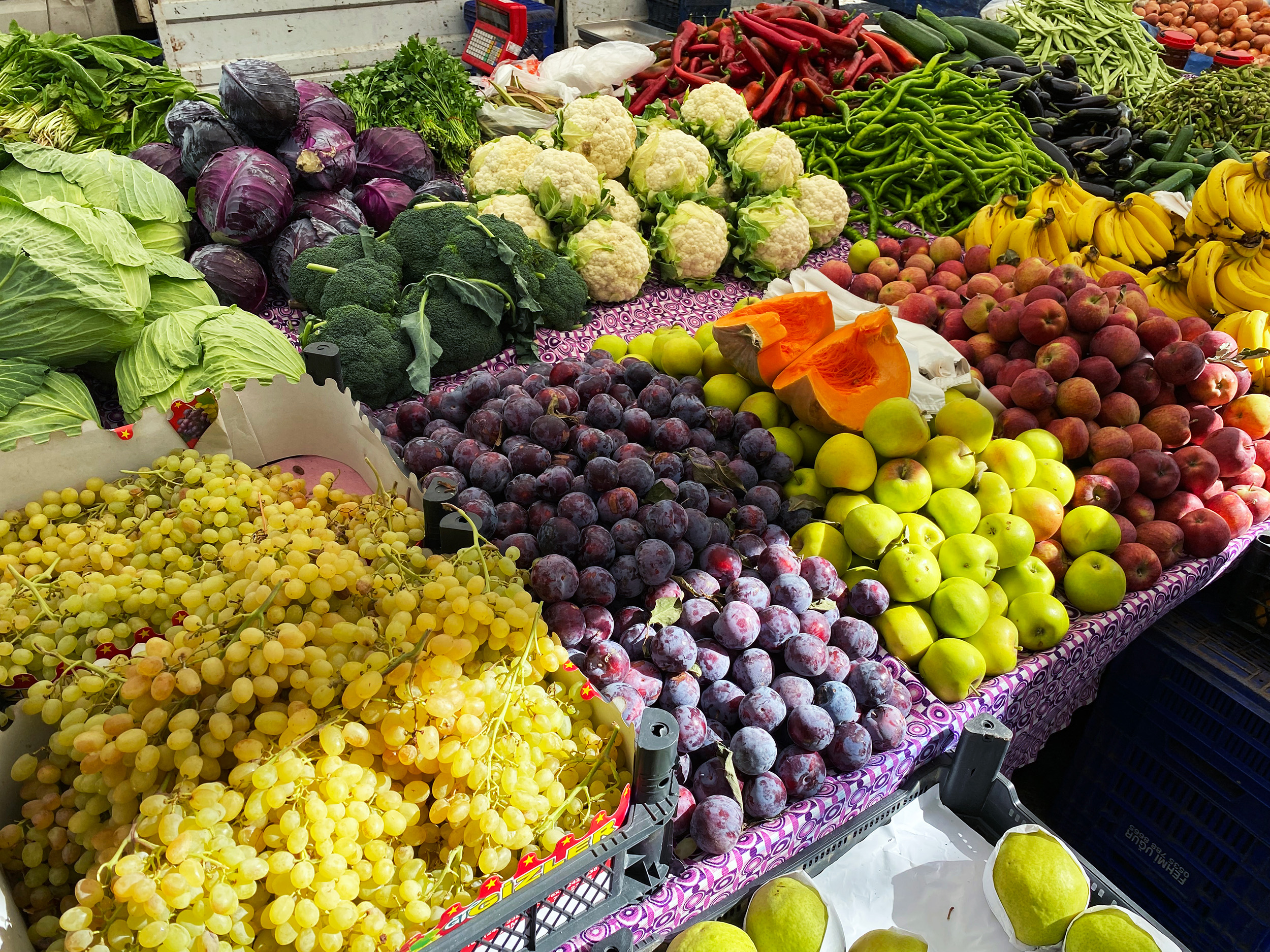 8 Denver Area Farmers' Markets You Should Know - Pros Local Blog