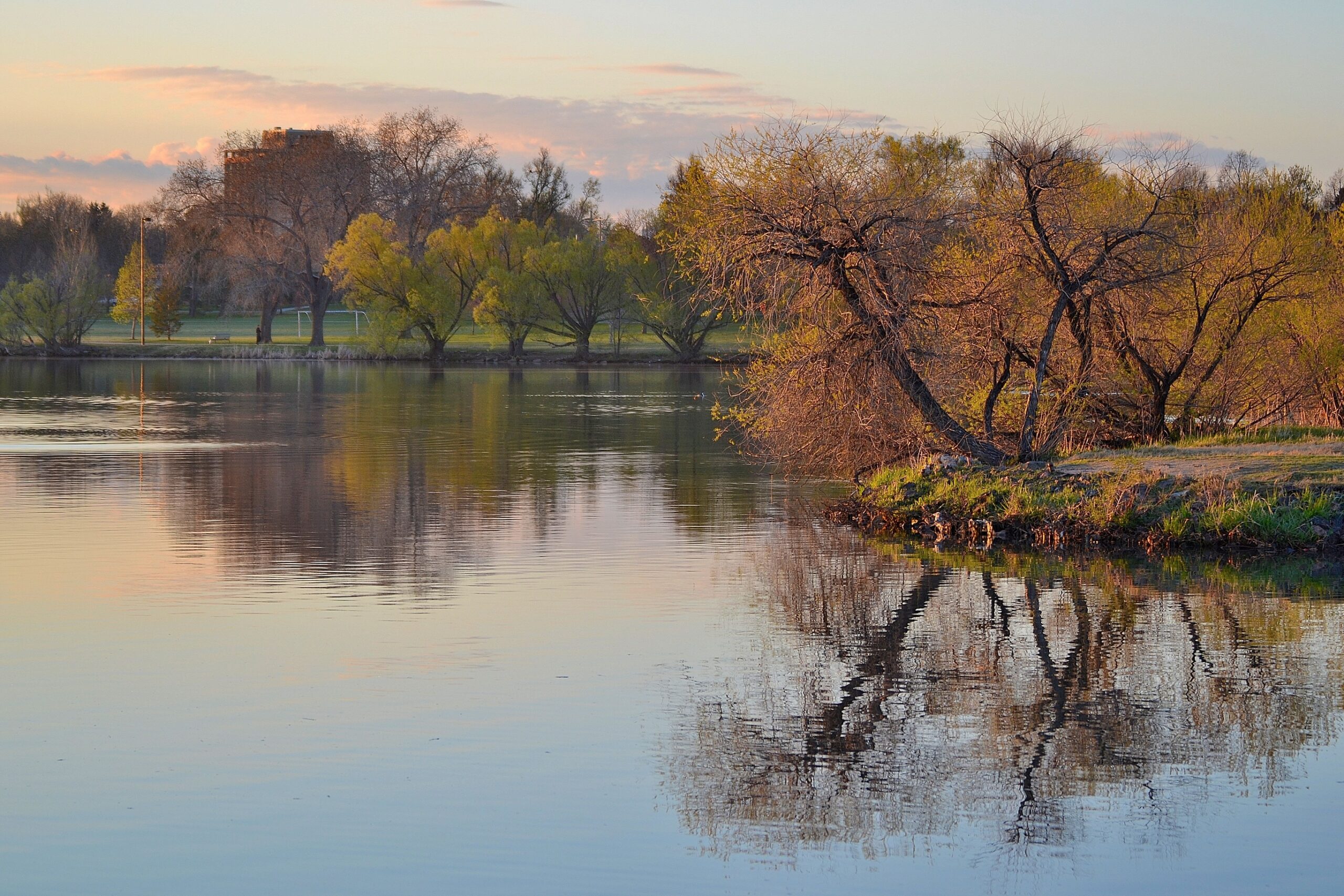 Things to Do, Eat, and See in Denver's Sloan Lake Neighborhood - Pros Local Blog