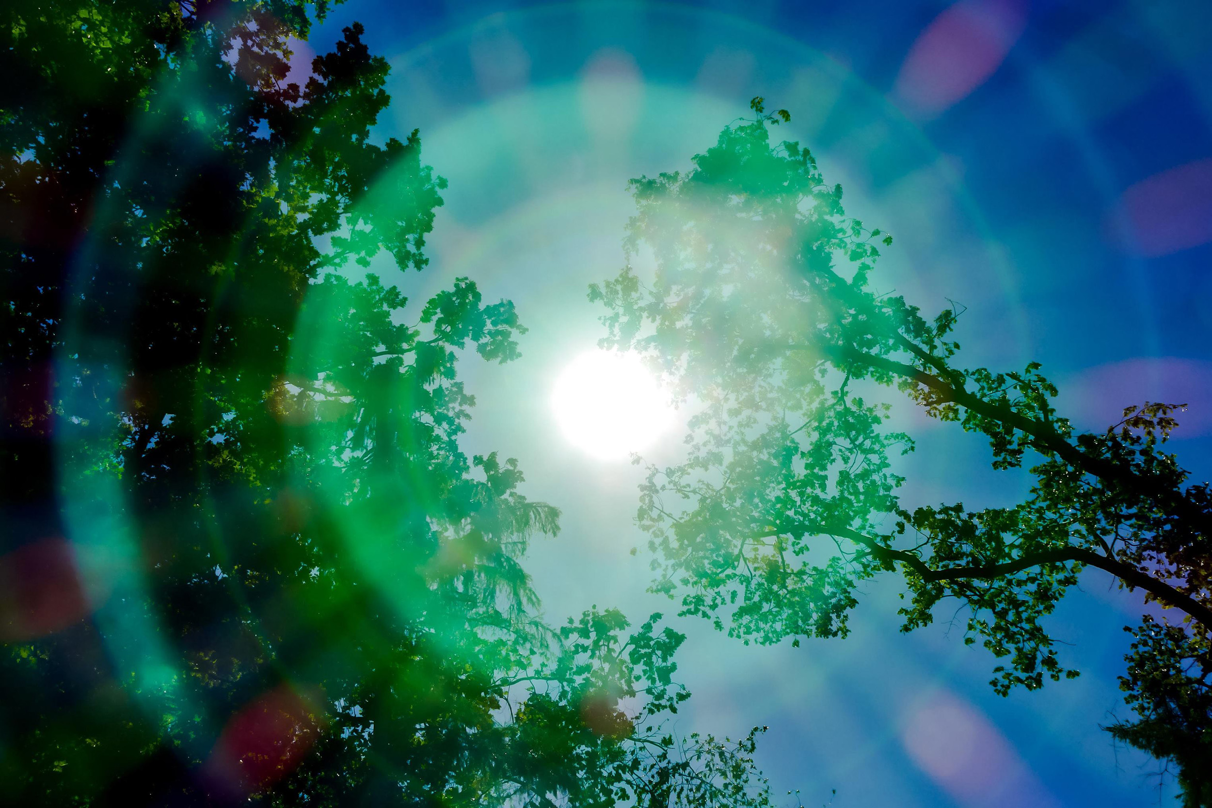 Celebrate the Summer Solstice in Denver with These Events & Outdoor ...