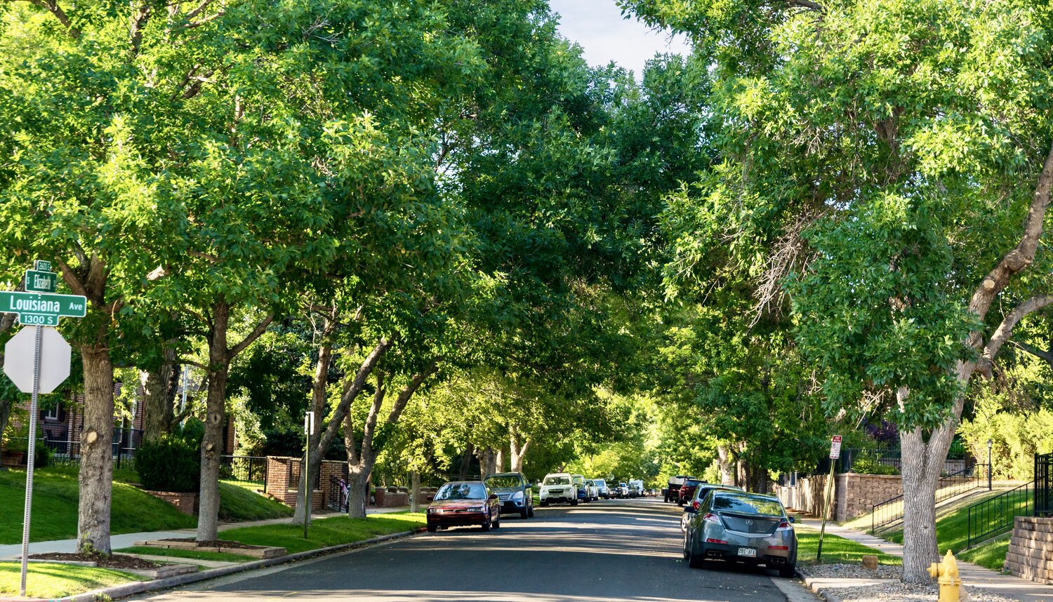 Things to Do, Eat, and See in Denver's Cory-Merrill Neighborhood - Pros ...